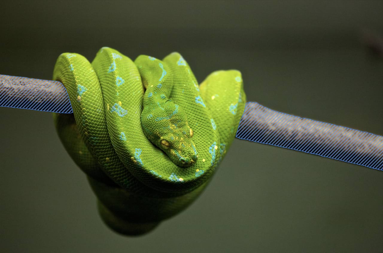 Object Selection Tool